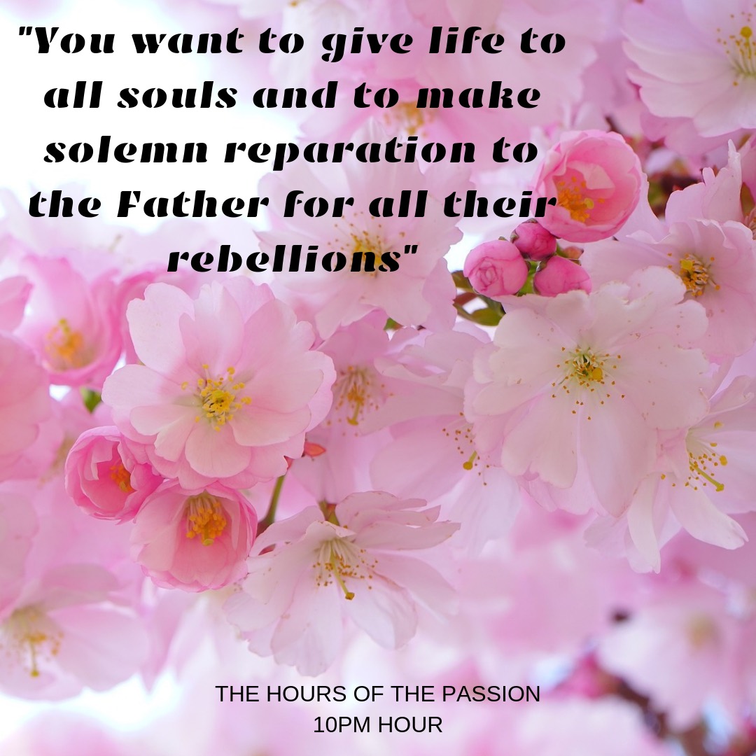 The Passion of Christ – Part II – Podcast 13 – Coming of the Kingdom